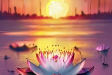 Foot Care Nurse Directory – PEDEd